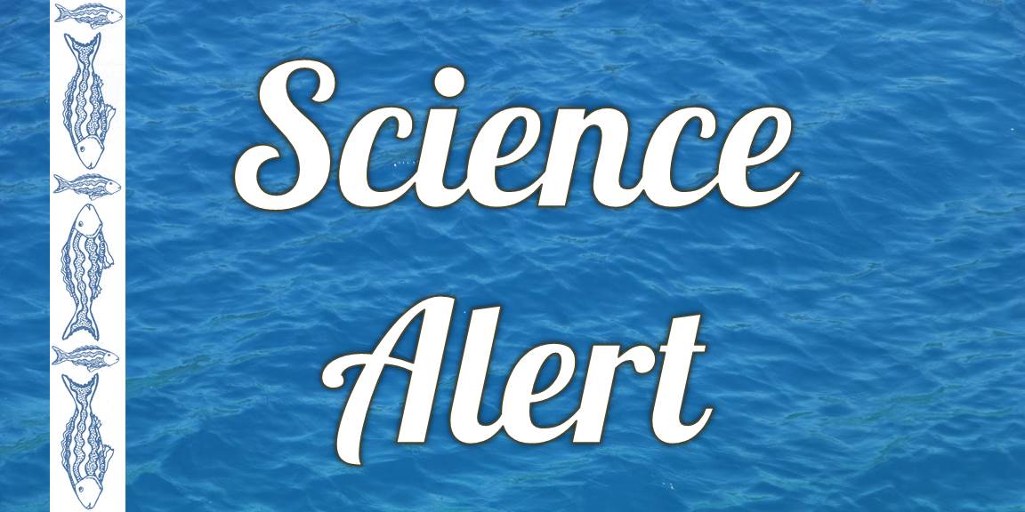 Attend the Upcoming EPA Webinar on Nutrient Explorer - Friends of ...