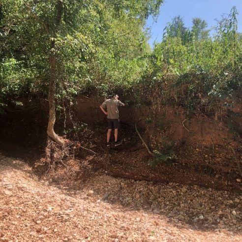 Fish Habitat Enhancement Project on Beaver Lake and Tributary Clifty ...