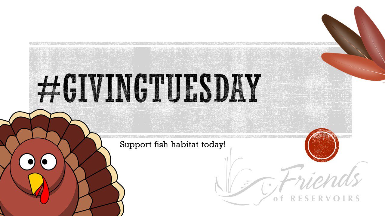 Make Better Fish Habitat this Giving Tuesday! - Friends of Reservoirs