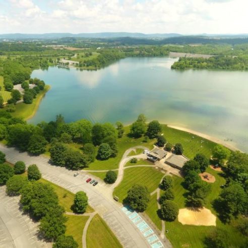 Blue Marsh Lake Habitat and Shoreline Enhancement - Friends of Reservoirs