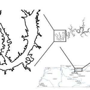 Old Hickory Reservoir Habitat Improvement - Friends of Reservoirs